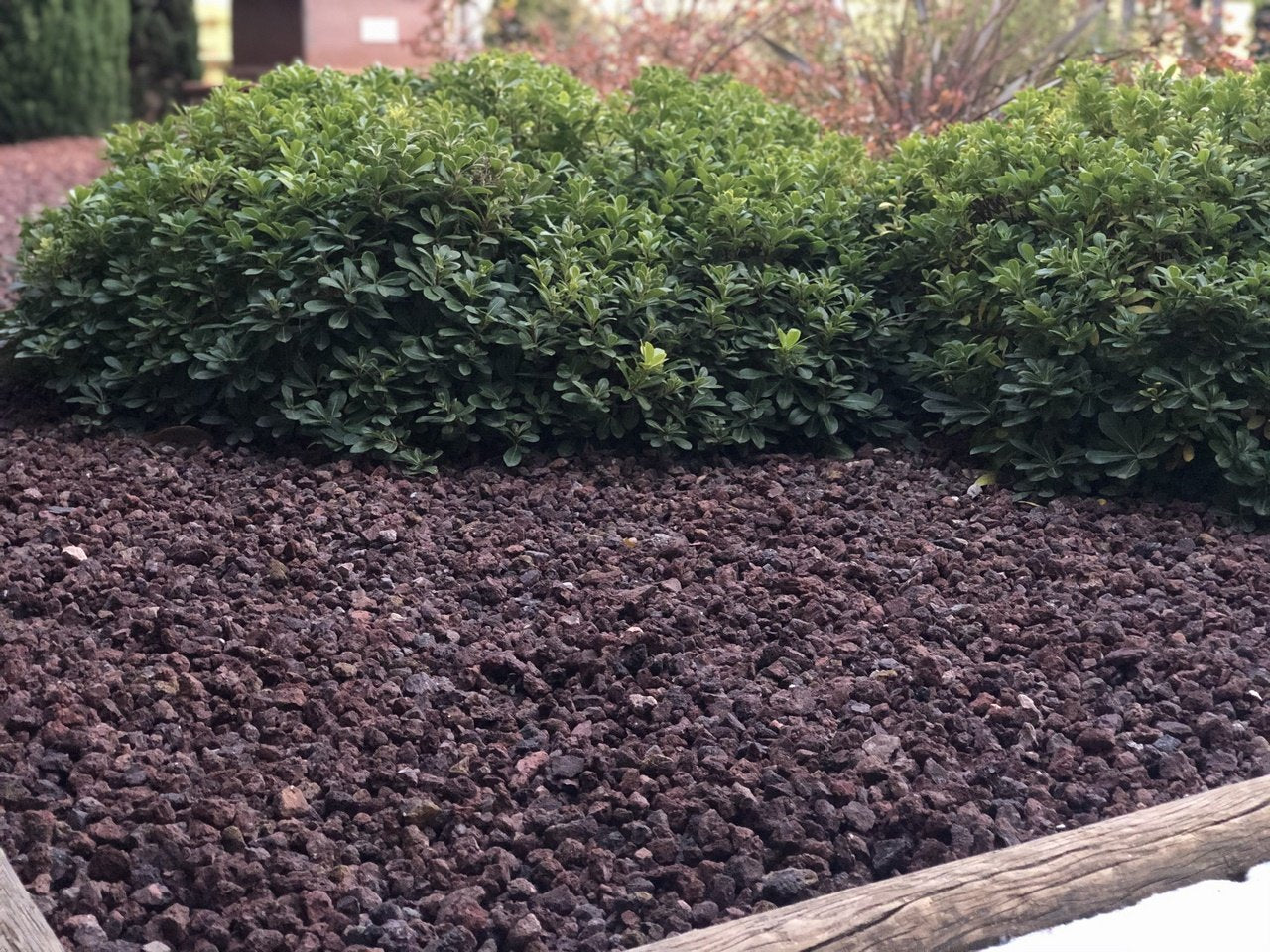 Pierre Volcanique rouge, pouzzolane roche basaltique – Vetonek.be