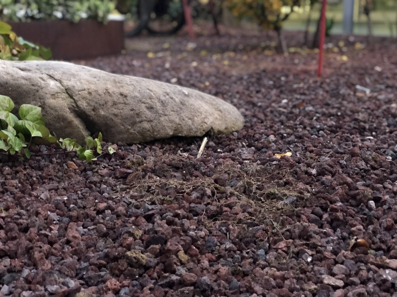 Pierre Volcanique rouge, pouzzolane roche basaltique – Vetonek.be