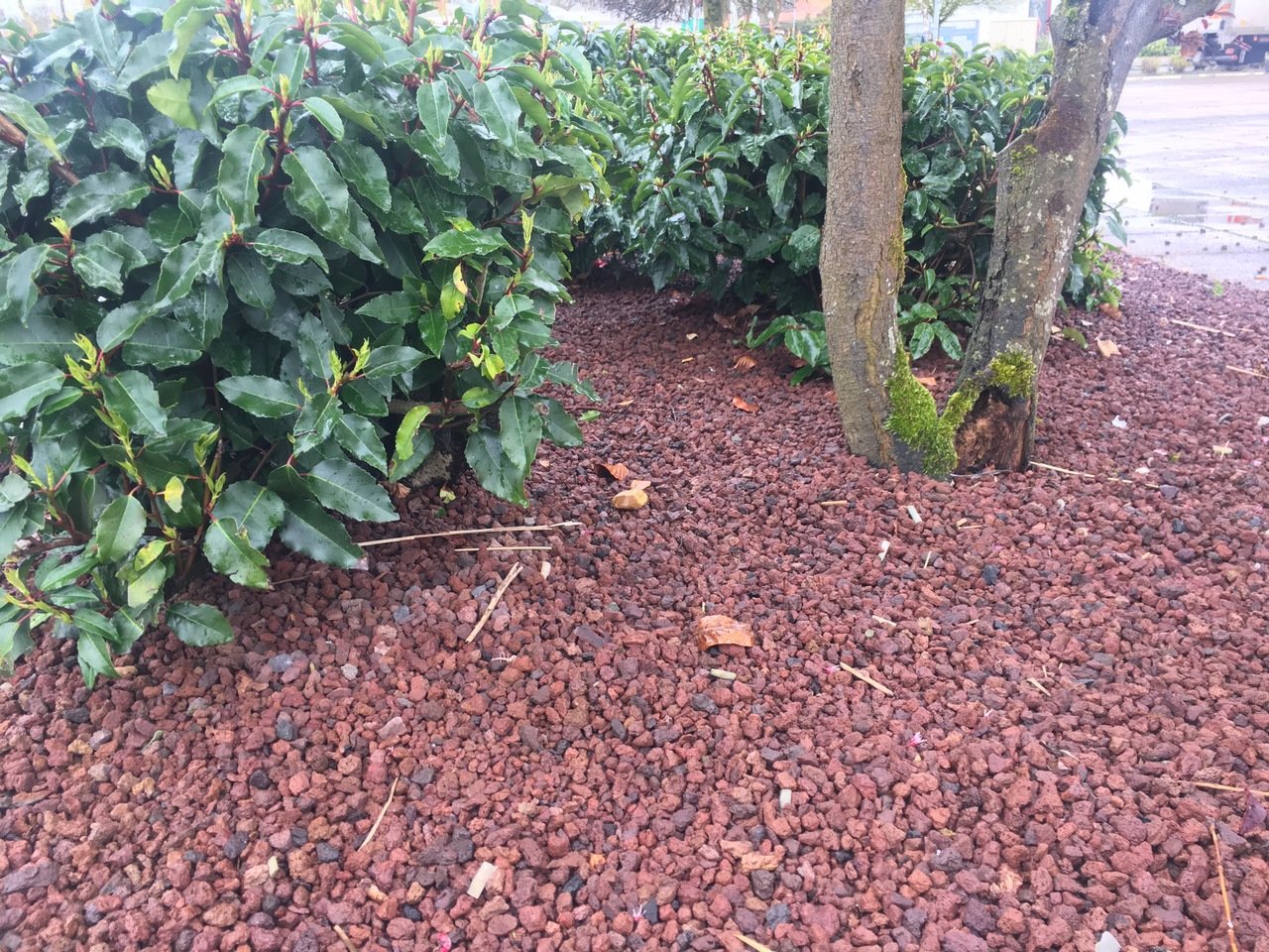 Pierre Volcanique rouge, pouzzolane roche basaltique – Vetonek.be