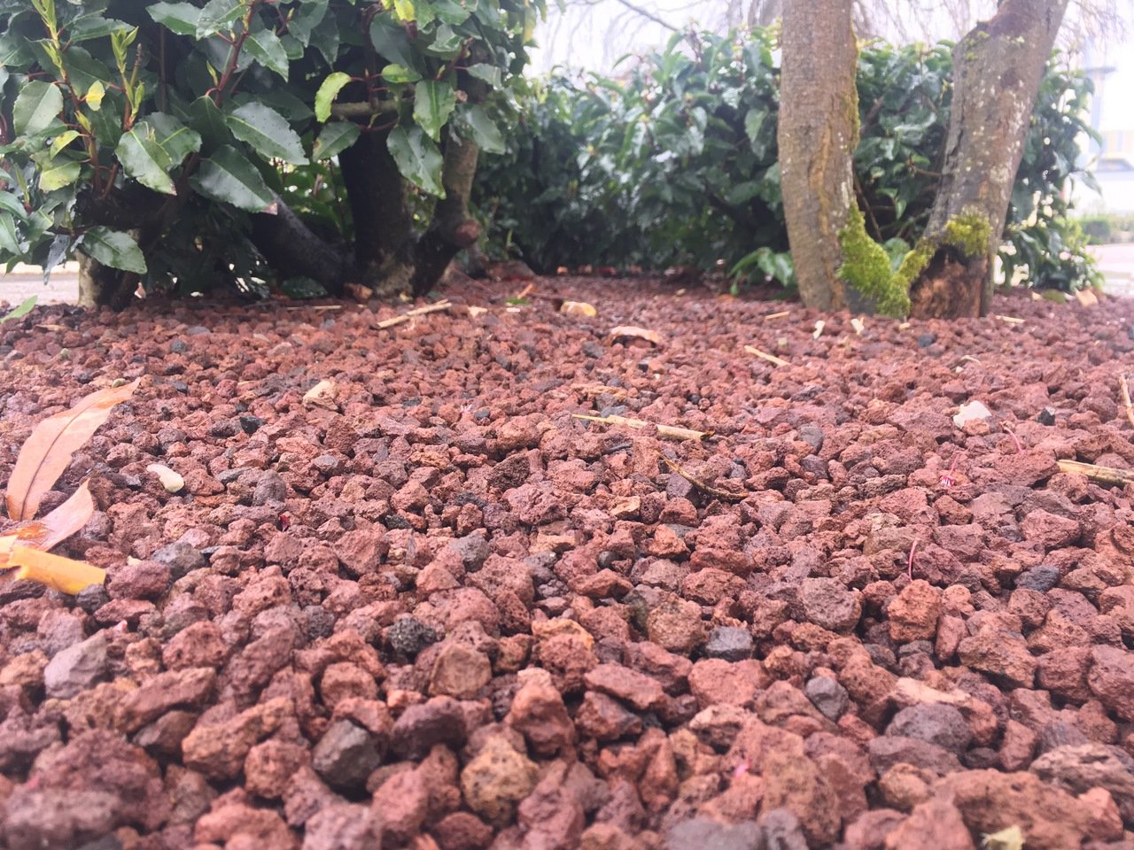 Pierre Volcanique rouge, pouzzolane roche basaltique – Vetonek.be