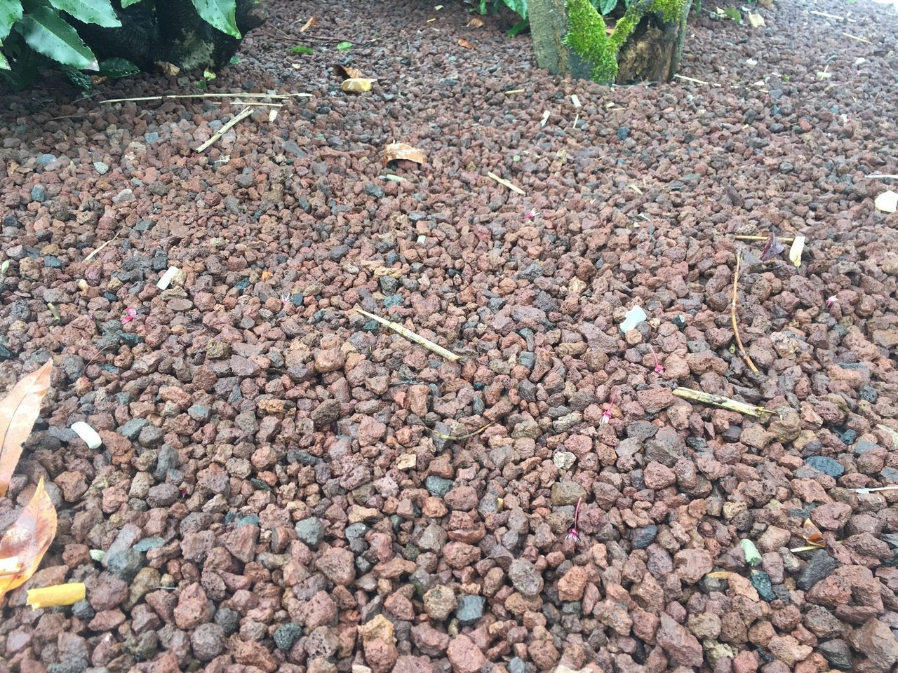 Pierre Volcanique rouge, pouzzolane roche basaltique – Vetonek.be